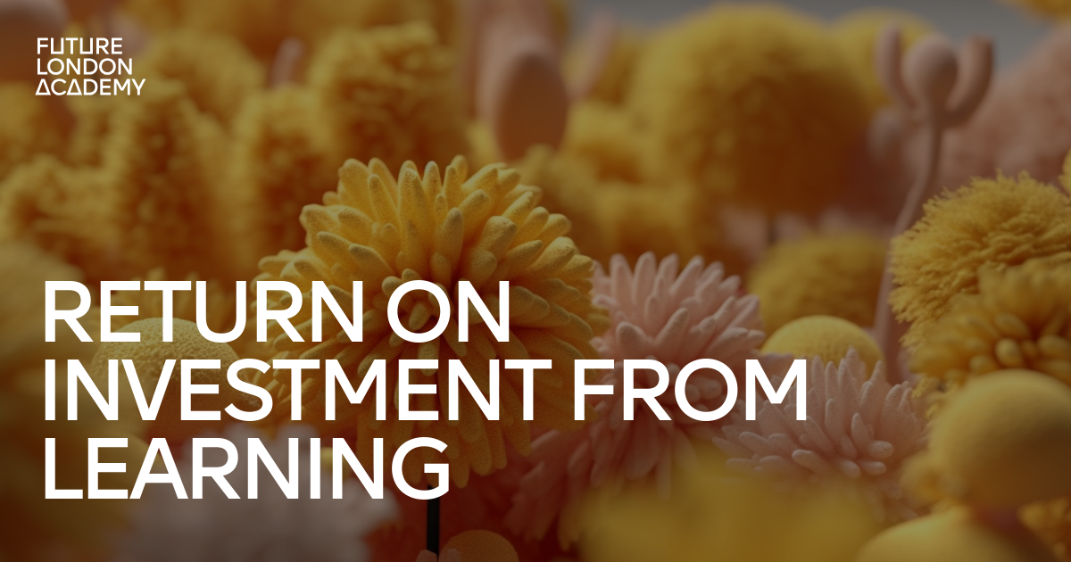 Return on Investment from Learning